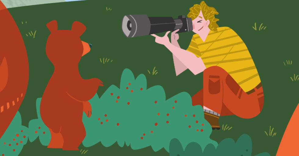 Dorothy Collection - The Dorothy Motel